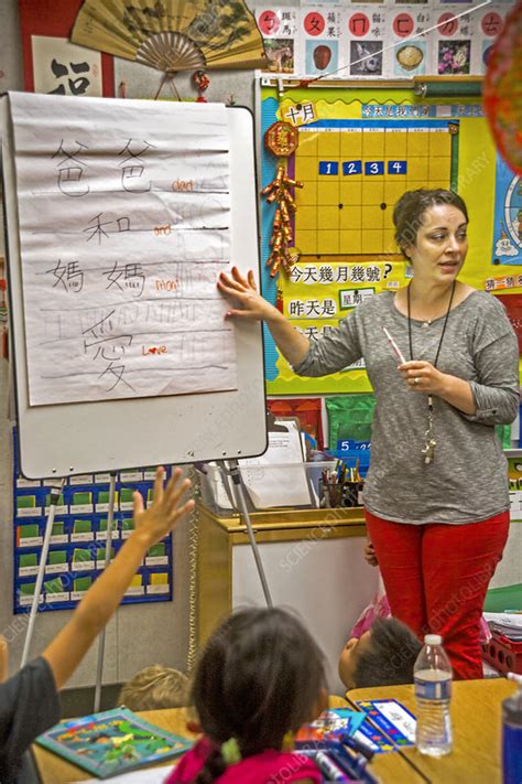 First Graders Learn Mandarin Stock Image C0273968 Science Photo