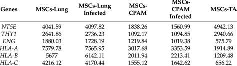 Expression Values Of Mscs Markers In Mscs Cpam Or Mscs Lung Before And Download Scientific