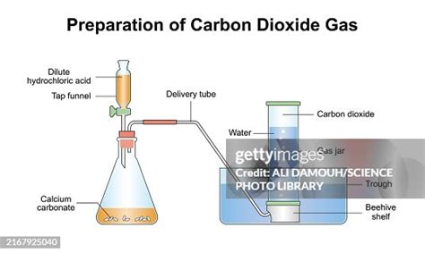 Carbon Dioxide Preparation Illustration High Res Vector Graphic Getty