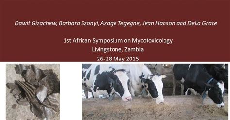 Feed Storage Practices And Aflatoxin Contamination Of Dairy Feeds In