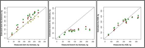 Estimated Stem Biomass Left Branch Biomass Middle And Total