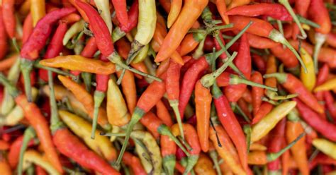 빨간색과 노란색 고추의 큰 더미 사진 Unsplash의 붉은 고추 이미지