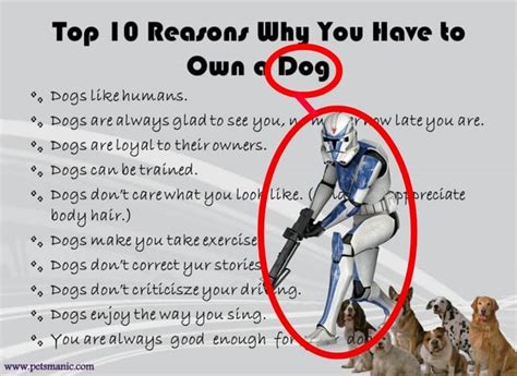 Clone Trooper Wolf R Prequelmemes