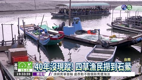 誤捕瀕危鬼蝠魟 慘遭宰殺肢解 Youtube
