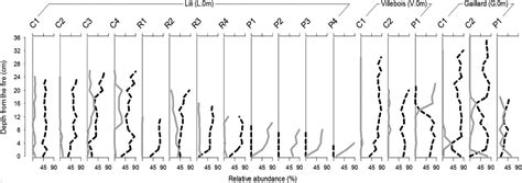 Spatiotemporal Evolution Of Paludification Associated With Autogenic