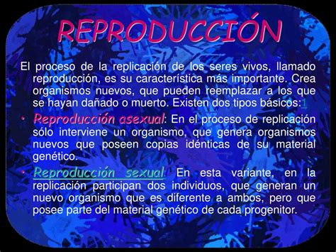 PPT HABLEMOS DE SEXO PowerPoint Presentation Free Download ID