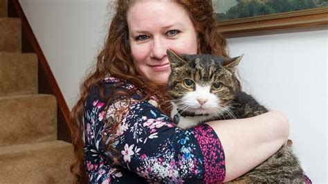 Youll Never Believe Where This Cat Lost For 12 Years Has Been Living Mirror Online