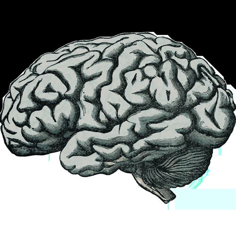 Submit — Temporal Lobe Literary