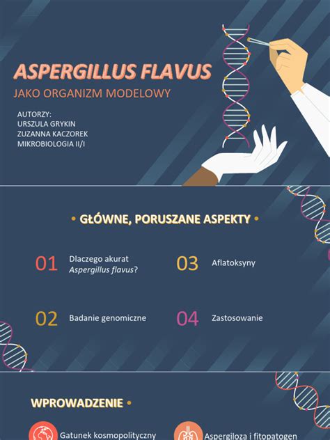 Aspergillus Flavus Presentation Pdf