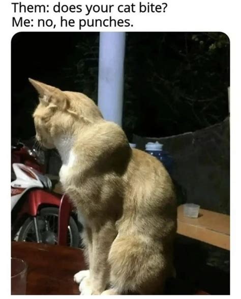 See Ams Hate Monologue From “i Have No Mouth And I Must Scream” Rmemes