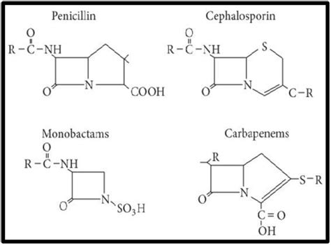 Introduction To Extended Spectrum β Lactamase Esbl Ukm Medical