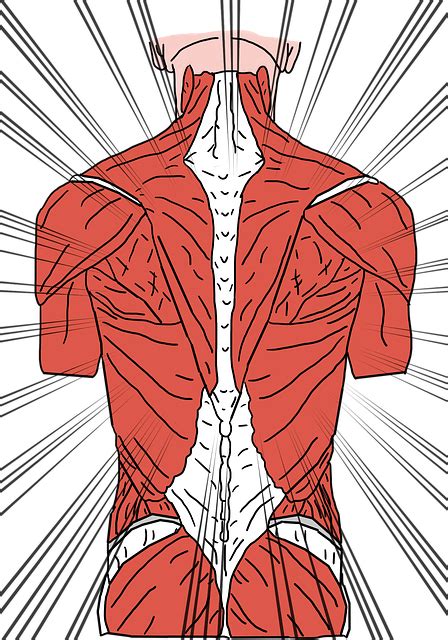 Muscle Spasms Saratoga Spine