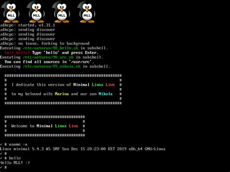 Minimal Linux Live