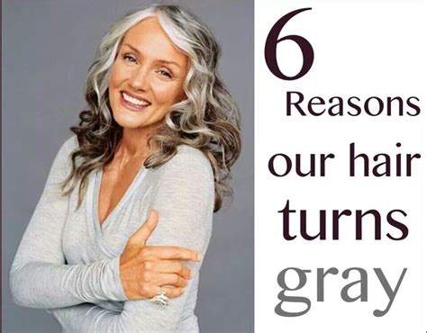 Six Reasons Hair Turns Gray Turn Ons Hair Grey