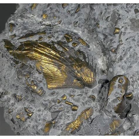 E Rocks Mineral Auctions