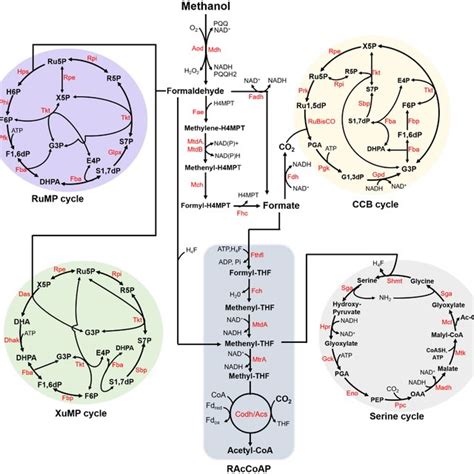 Overview Of Novel Combinations Of Synthetic Pathways For Methanol And