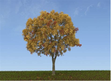 tree leaves 3d turbosquid 1338332