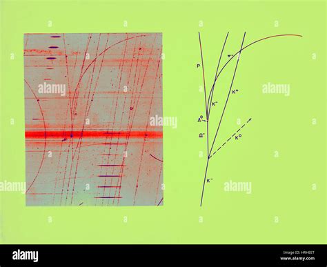 Omega Particle