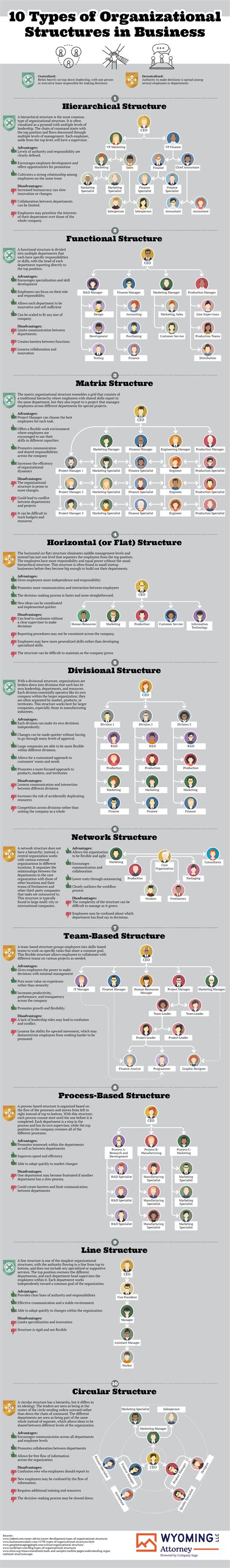 The Illustrated Guide To 10 Types Of Organizational Structures In Business Infographic