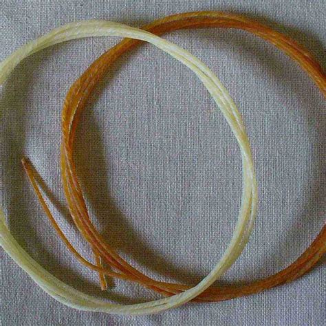 On How To Play A Baroque Cello Gut Strings Part 2 CelloBello