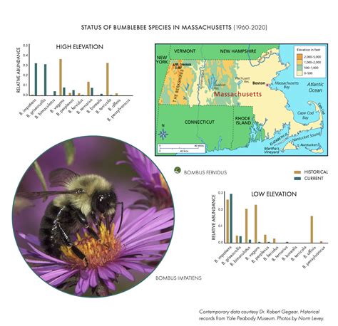 Designing Biodiversity — Landscapenteractions