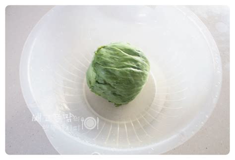 다이어트 한 끼 식사 샐러드 닭 안심 샐러드 요리 오래 두고 먹는 양상추 손질