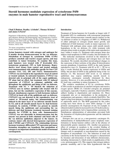 Pdf Steroid Hormones Modulate Expression Of Cytochrome P450 Enzymes