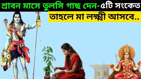 শ্রাবণ মাসে তুলসী গাছ যদি দেয় এই ৫ টি সংকেত তাহলে মা লক্ষ্মী আসতে