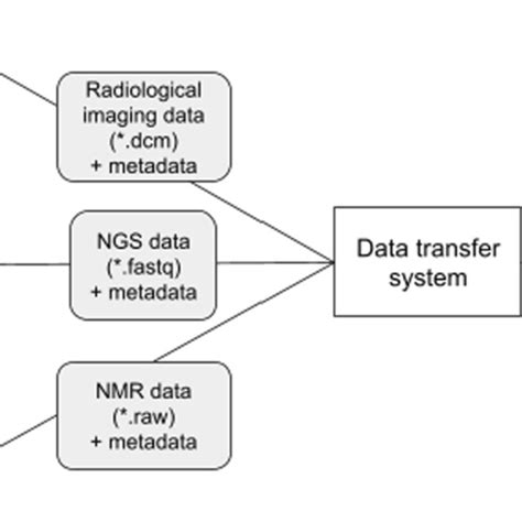 Schematics Of The Data Transfer Procedure From The Data Acquisition