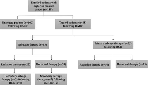 Treatment Stratification Tree Based On The Data Of 188 Patients With
