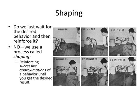 Learning Geddes Ppt Download