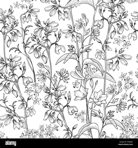 Floral Seamless Pattern Flower Background Floral Seamless Texture