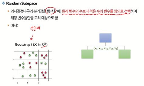Random Forest Model
