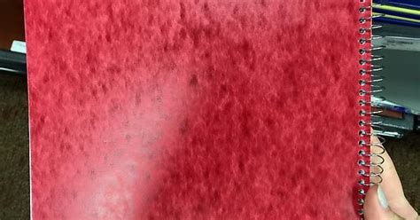 Lefty Notebook Win Imgur