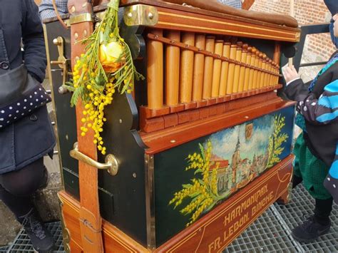 Il Joue De La Viole à Binche Notamment Et Il Plaide Pour La Relève