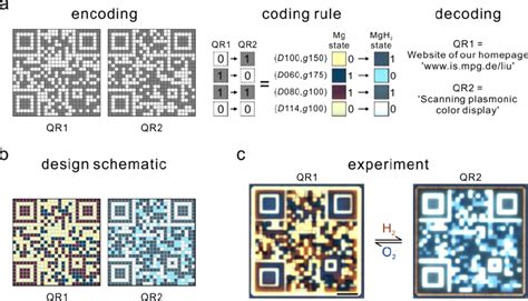 A Principle Of Information Encoding Coding Rule And Decoding Four
