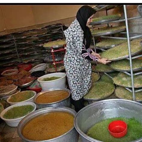 خرید و قیمت سمنو سنتی عمه لیلا اصل یک میان وعده ی مقوی برای تمام سنین از غرفه میوه خشک و خشکبار آلما