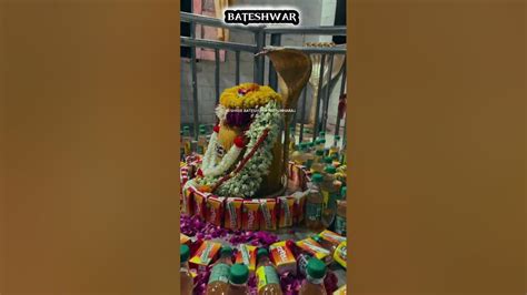 Bateshwar Mahadev 🙏🥰🙏 Youtube