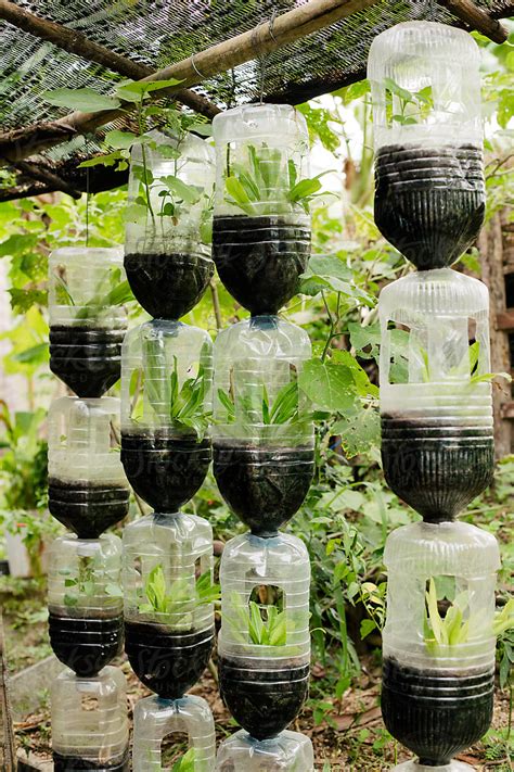 How Do I Make A Vertical Garden Using Plastic Bottles The Upb Vertical
