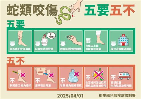 清明掃墓、踏青留意！每年近千人遭毒蛇咬傷「5件事必做」保命 祝你健康 三立新聞網 Healthsetncom