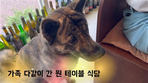 가족 다 같이 원 테이블 식당에 왔어요 판교 스너그 Youtube