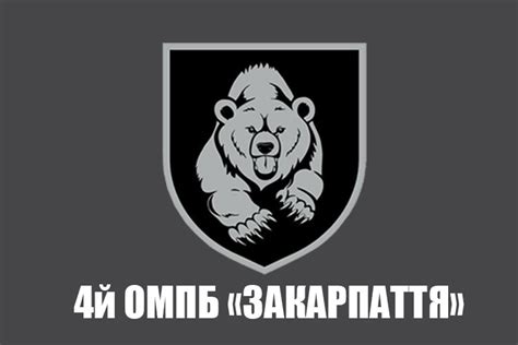Прапор 4 ОМПБ Закарпаття сірий