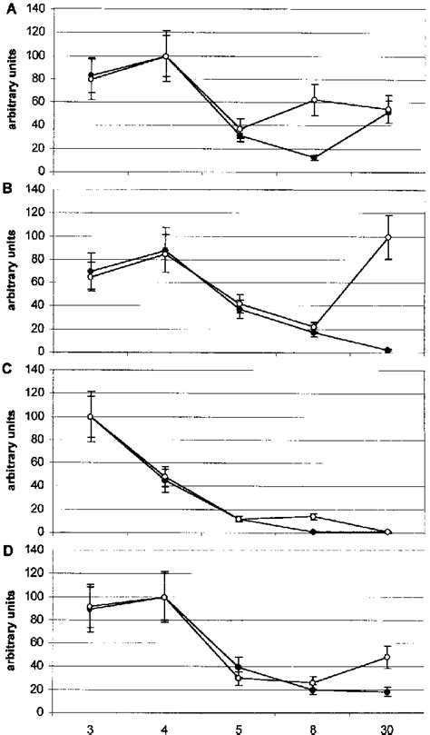 quantitative analysis of mrf expression at different stages of