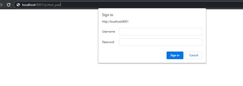 Etherpad Ui Authentication Stack Overflow