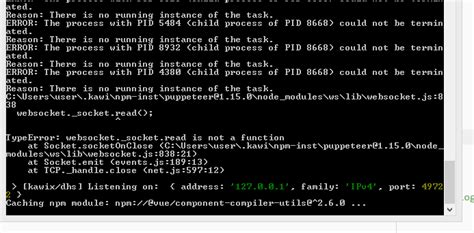 Websocket Socket Read Is Not A Function Issue 675 Vercel Pkg GitHub