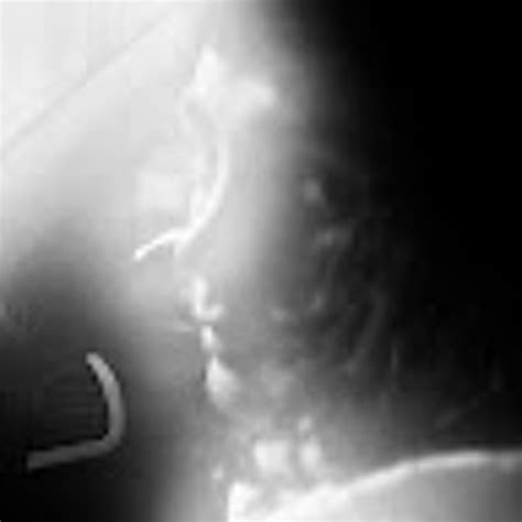 Stream Ava Jalali Music Listen To Songs Albums Playlists For Free On Soundcloud