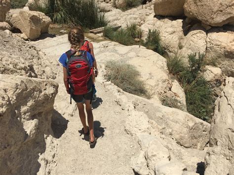 Our Latest Adventures Five Shekels