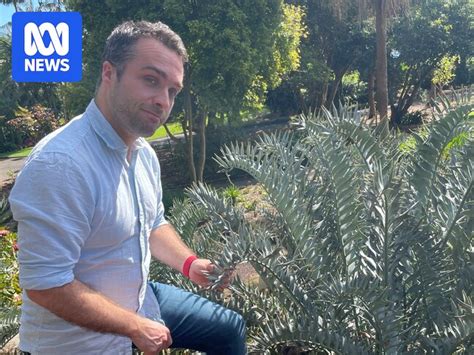 Listen To Dr James Clugston Talk About Cycads With Weekend Mornings Presenter Simon Marnie