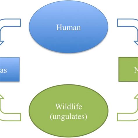 Interaction Between Humans Ungulates And Territory Download Scientific Diagram