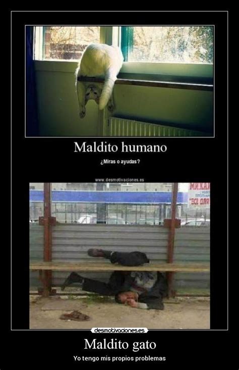 Usuario Loko Kuerdo Desmotivaciones